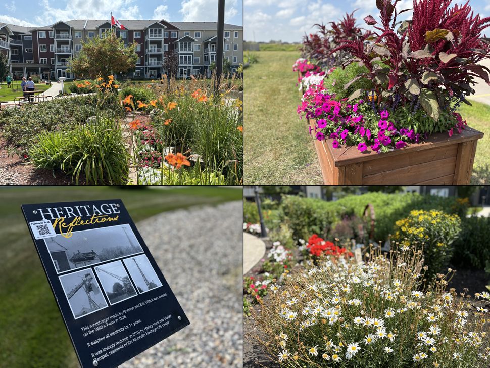 Niverville Communities in Bloom keeps busy with new projects and holiday cheer - SteinbachOnline ...